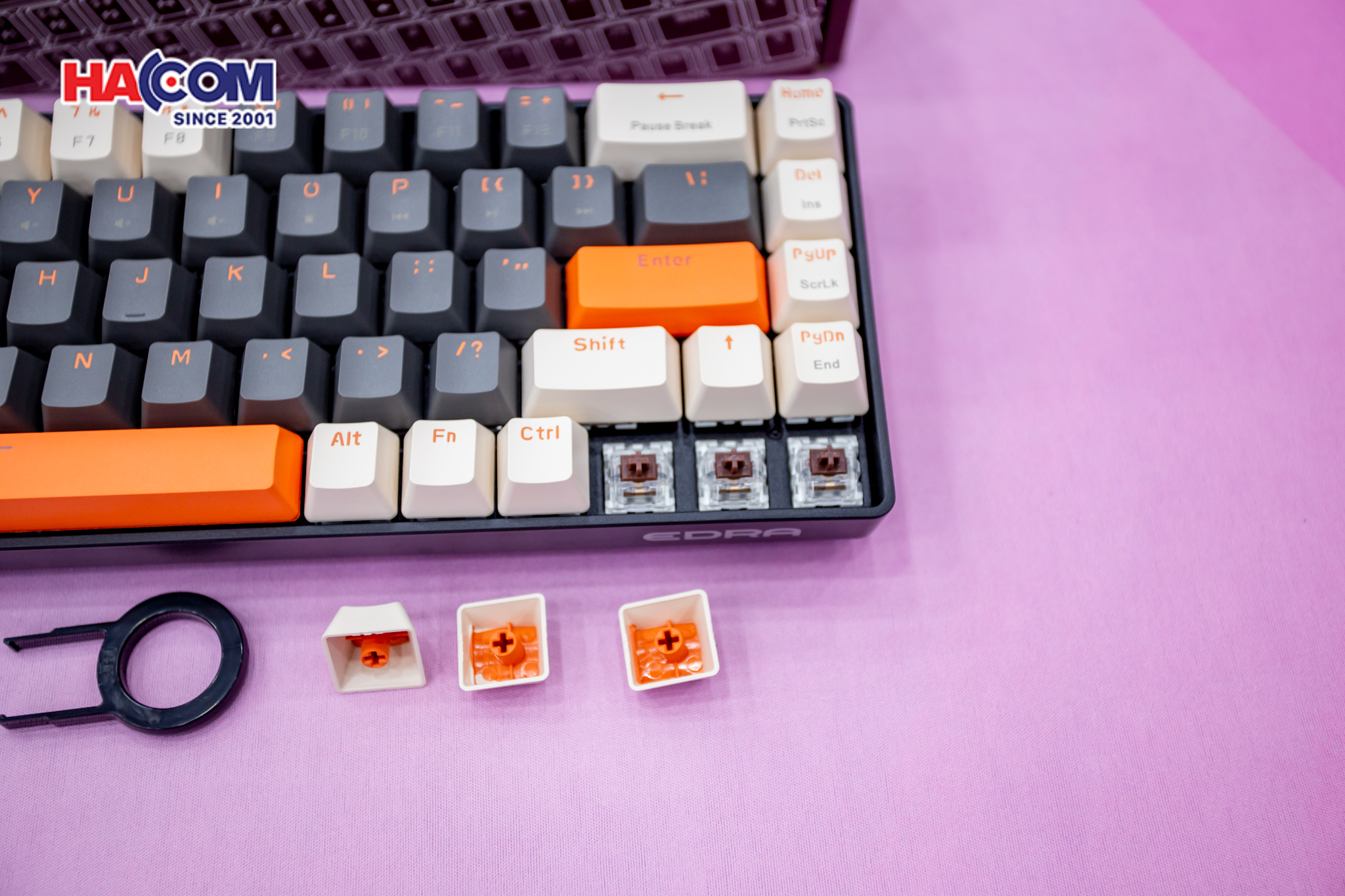 Bàn phím cơ gaming không dây Edra EK368L Beta Brown switch (Bluetooth/2.4G)