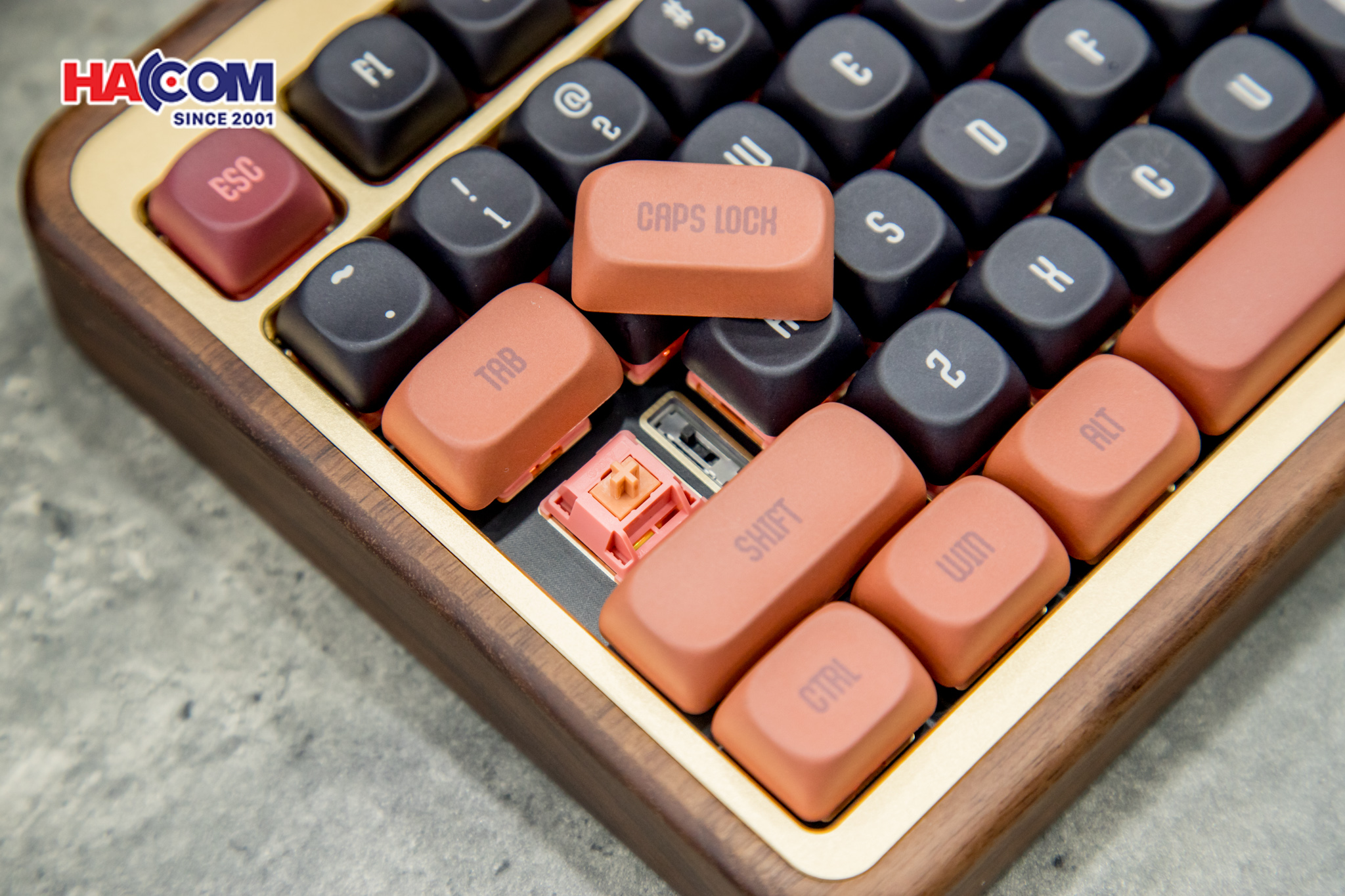 Bàn phím cơ AKKO MU02 Autumn Multi-Modes